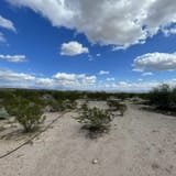 Dixie Mine Trail, Arizona - 154 Reviews, Map | AllTrails