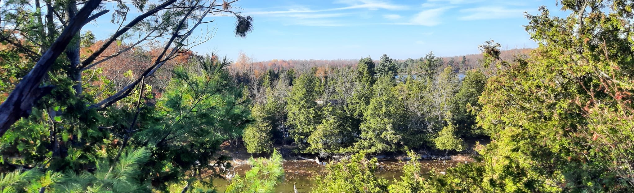 Sylvan Trail: 49 Reviews, Map - Ontario, Canada | AllTrails