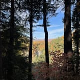 Gorge Trail Loop, New York - 428 Reviews, Map | AllTrails