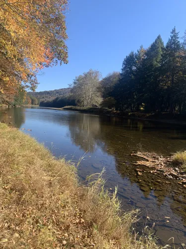 10 Best Hikes and Trails in Cook Forest State Park | AllTrails