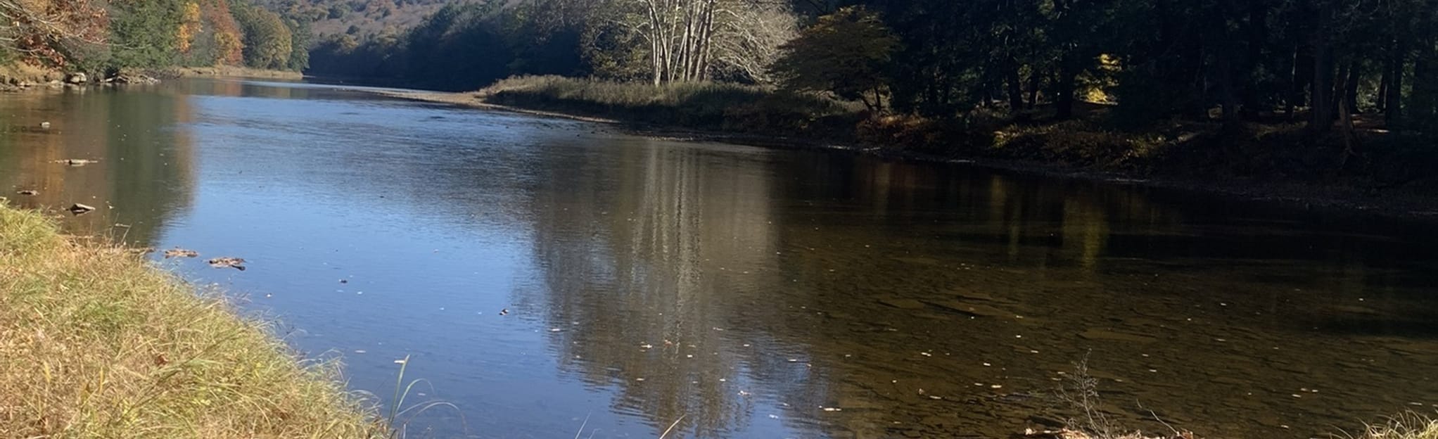 Henry Run Falls, Pennsylvania - 115 Reviews, Map | AllTrails