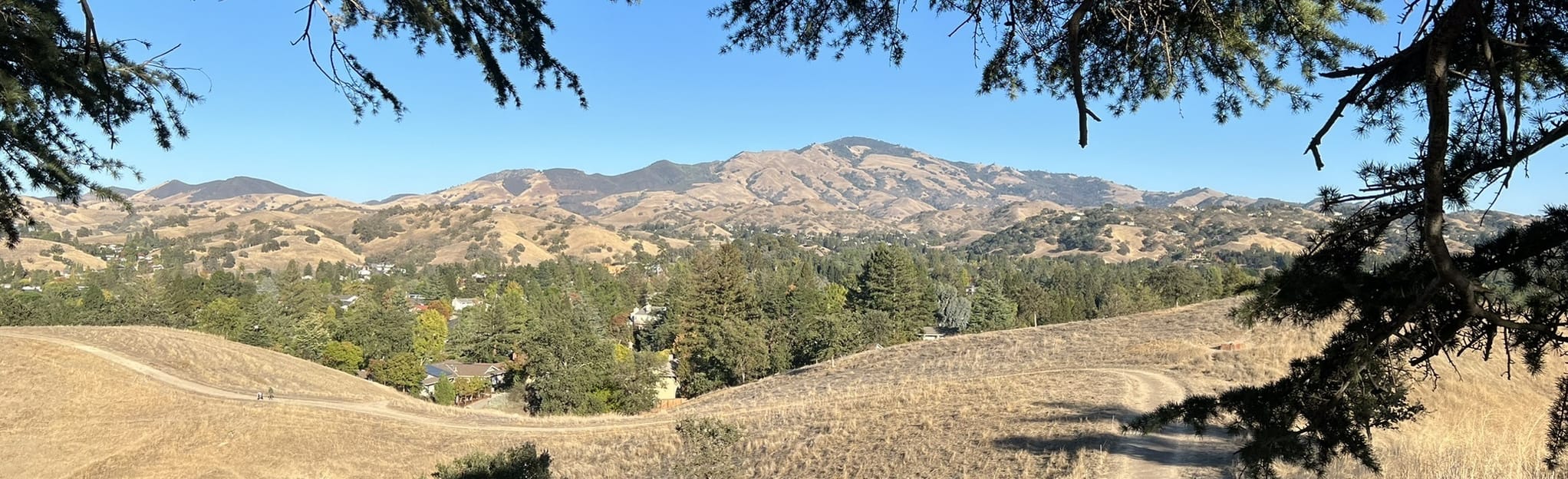 Bottom Spring Trail | Map, Guide - California | AllTrails