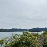 Karaka Point Walk, Marlborough, New Zealand - 18 Reviews, Map | AllTrails