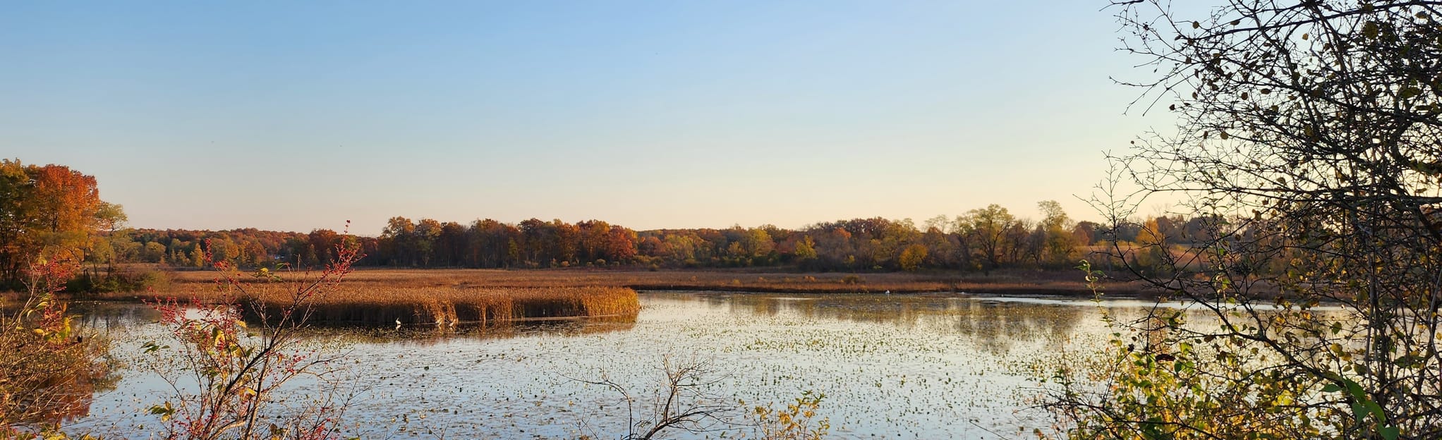 Falling Waters Trail, Michigan - 171 Reviews, Map | AllTrails