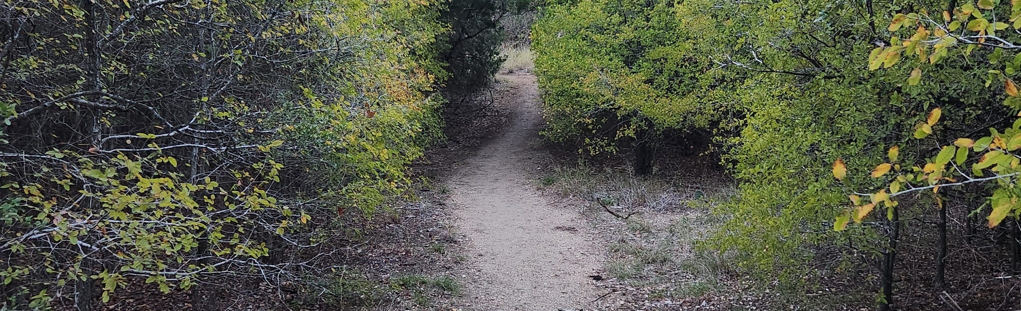 Blunn Creek Greenbelt Trail: 198 Reviews, Map - Texas | AllTrails
