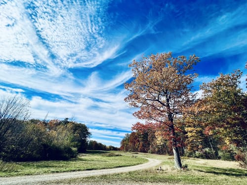 Best Hikes and Trails in Erwin Wildlife Management Area | AllTrails