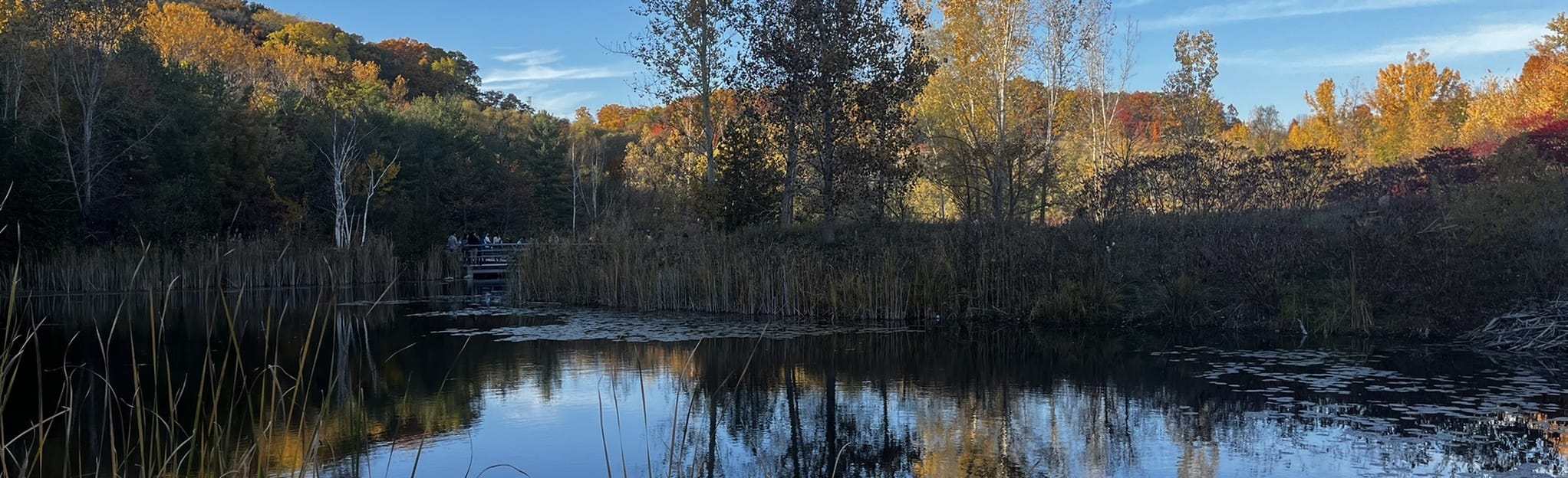 Moore Park Ravine to David Balfour Park Loop - Ontario, Canada | AllTrails