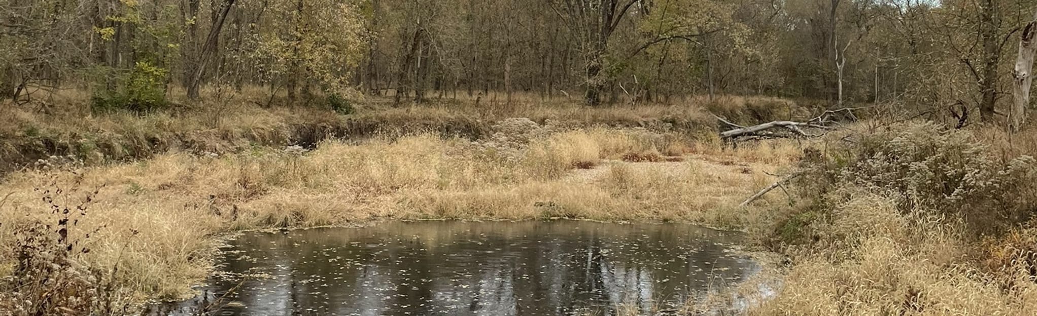 Deer Run Trail, Missouri - 704 Reviews, Map | AllTrails