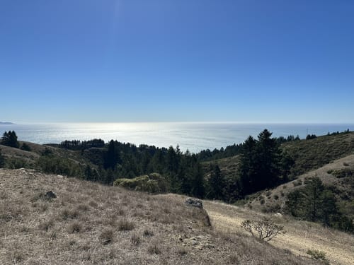 2023 Best Backpacking Trails in Mount Tamalpais State Park | AllTrails