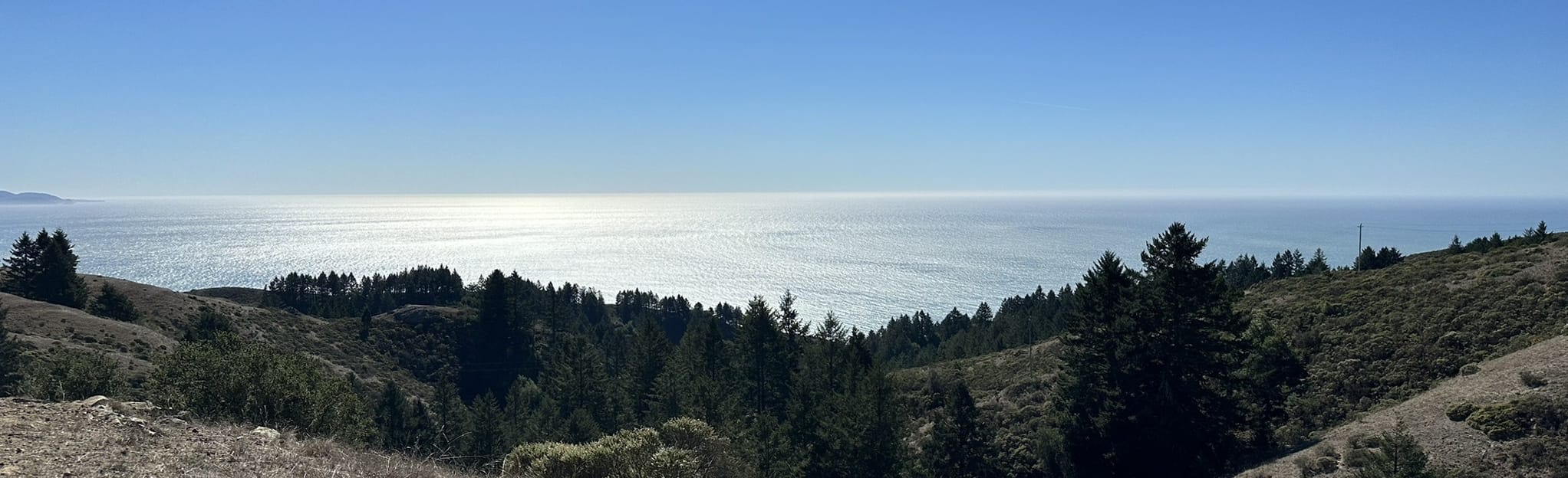 Stinson Beach to Mount Tamalpais via Matt Davis and Steep Ravine Trail ...