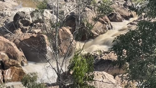 Best Hikes and Trails in Auburn River National Park | AllTrails