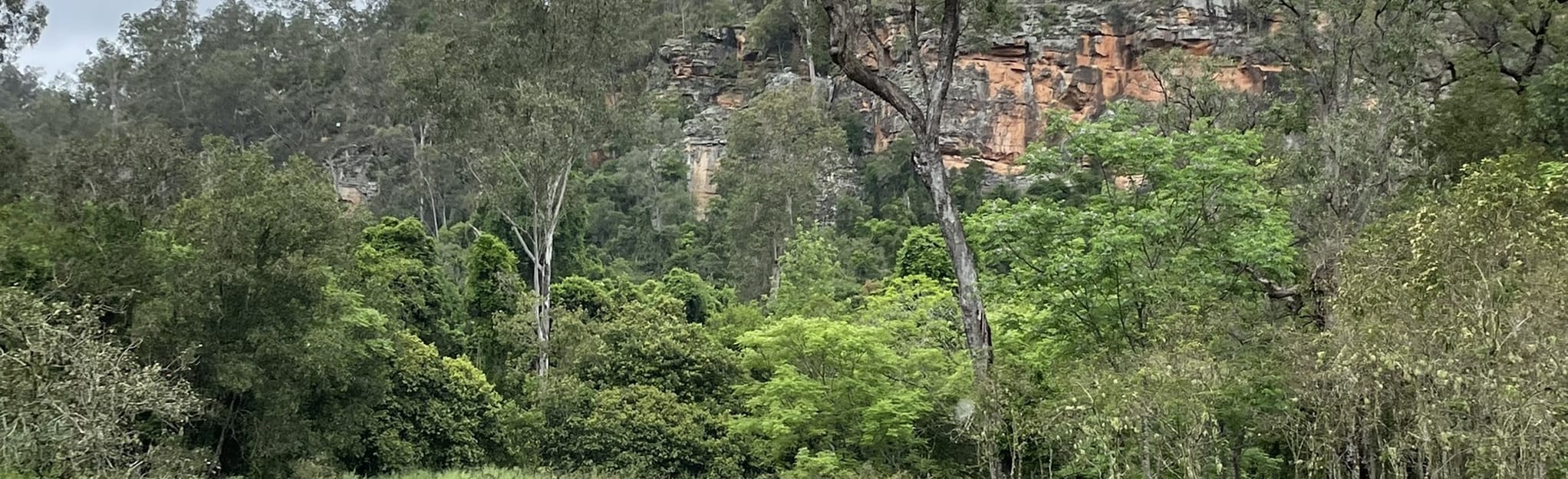 Dripping Rock and The Overhang: 173 foto's - Queensland, Australië ...