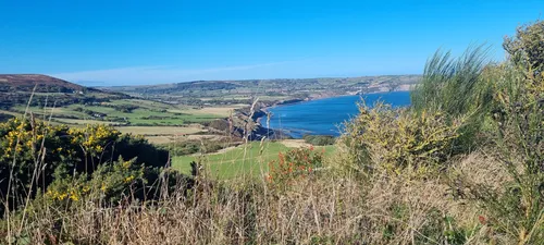 10 Best Walking Trails in Whitby | AllTrails