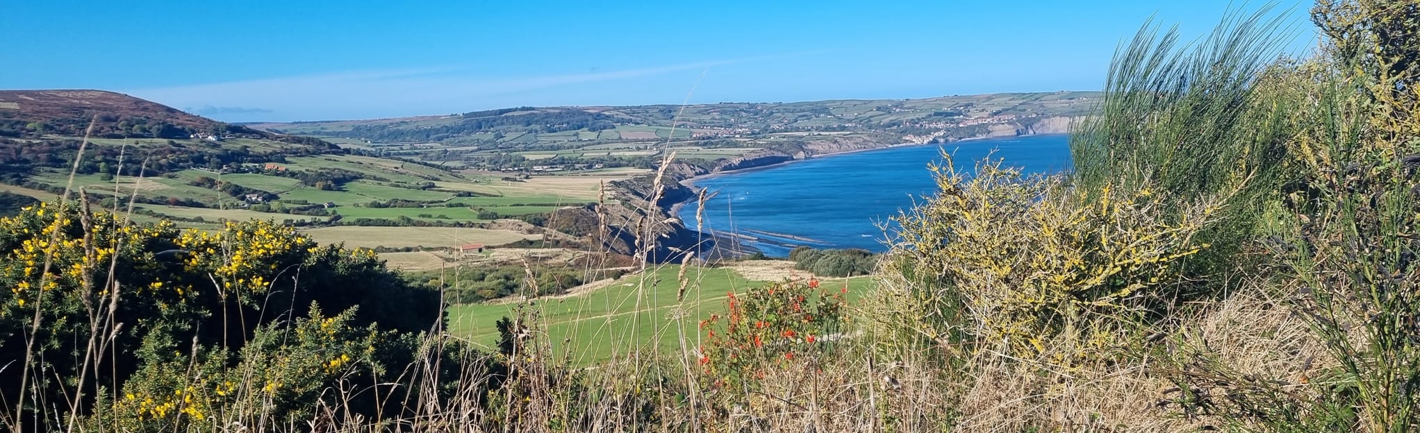 Ravenscar and Robin Hood's Bay: 206 Reviews, Map - North Yorkshire ...