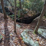 Rock City Trail, West Virginia - 490 Reviews, Map | AllTrails