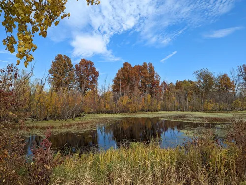 Best Hikes and Trails in Hillman Marsh Conservation Area | AllTrails