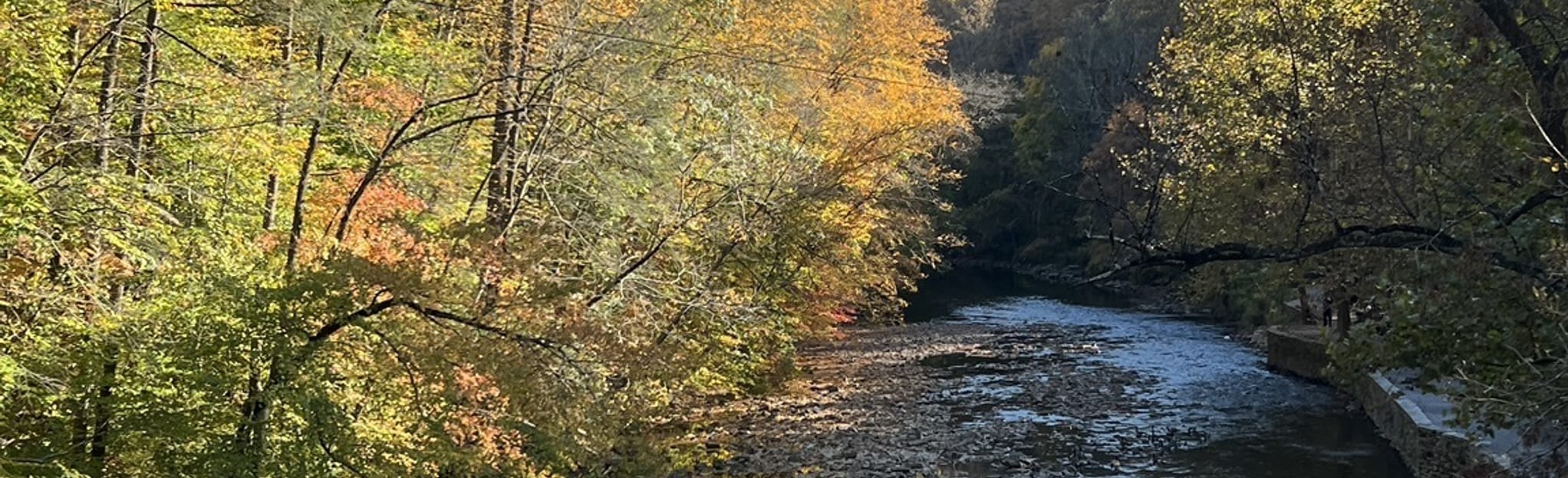 Cresheim Creek Loop, Pennsylvania - 103 Reviews, Map | AllTrails