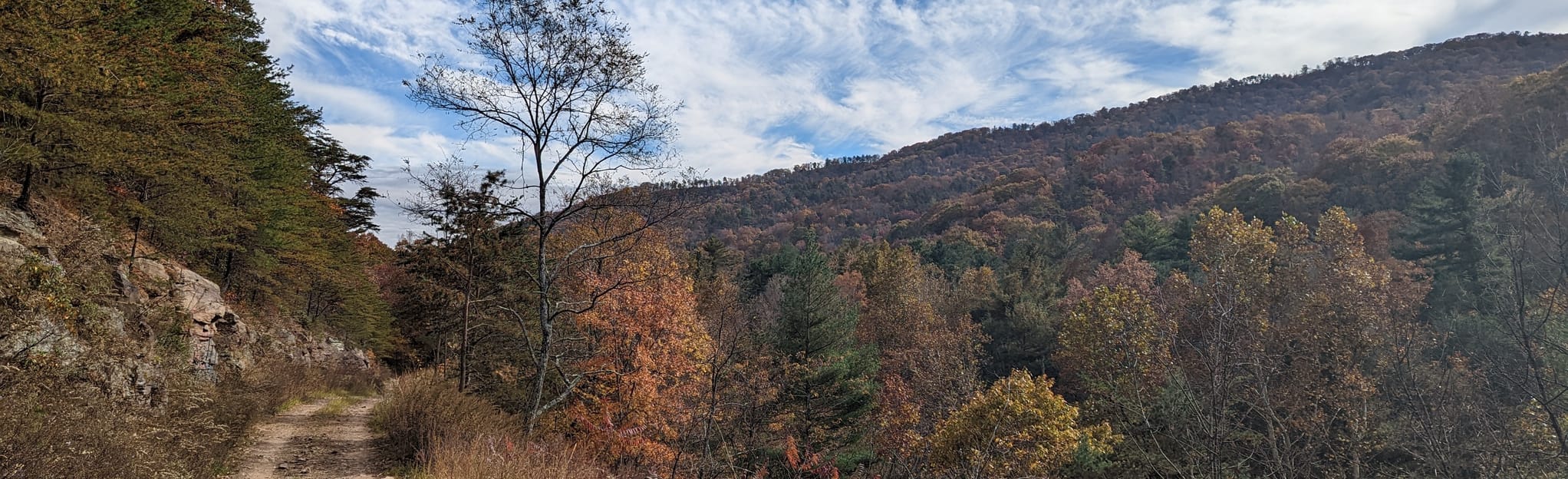 Hone Quarry Waterfall, Virginia - 281 Reviews, Map | AllTrails