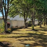 Timber Linn Park Trail, Oregon - 71 Reviews, Map | AllTrails