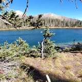 Hunt Lake Trail , Colorado - 241 Reviews, Map | AllTrails