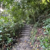 Penang Hill via Moongate - Wild Boar - Moniot, Penang, Malaysia - 229 ...