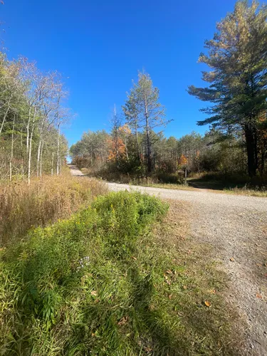 Best Hikes and Trails in Long Sault Conservation Area | AllTrails