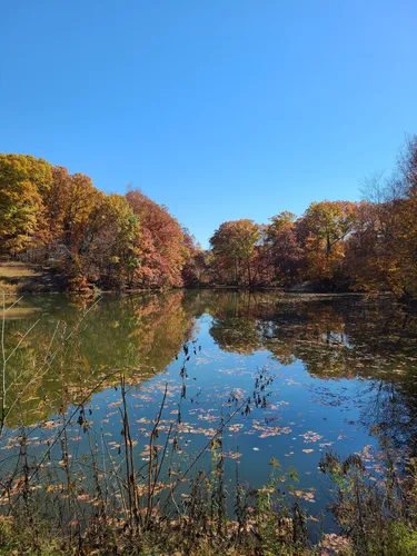 Best Hikes and Trails in Fry Family Park | AllTrails