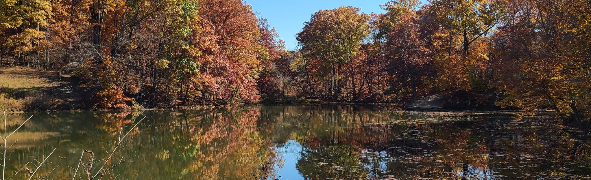 Sandy Valley Trail: 75 Reviews, Map - Ohio | AllTrails