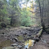 Shawnee Backpacking Trail South Loop, Ohio - 101 Reviews, Map | AllTrails