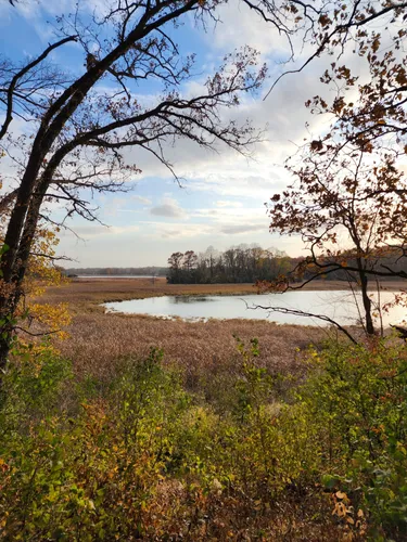 Best Easy Trails in Lake Maria State Park | AllTrails