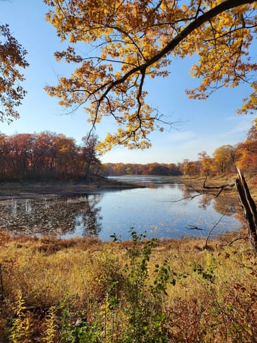 2023 Best Lake Trails in Lake Maria State Park | AllTrails