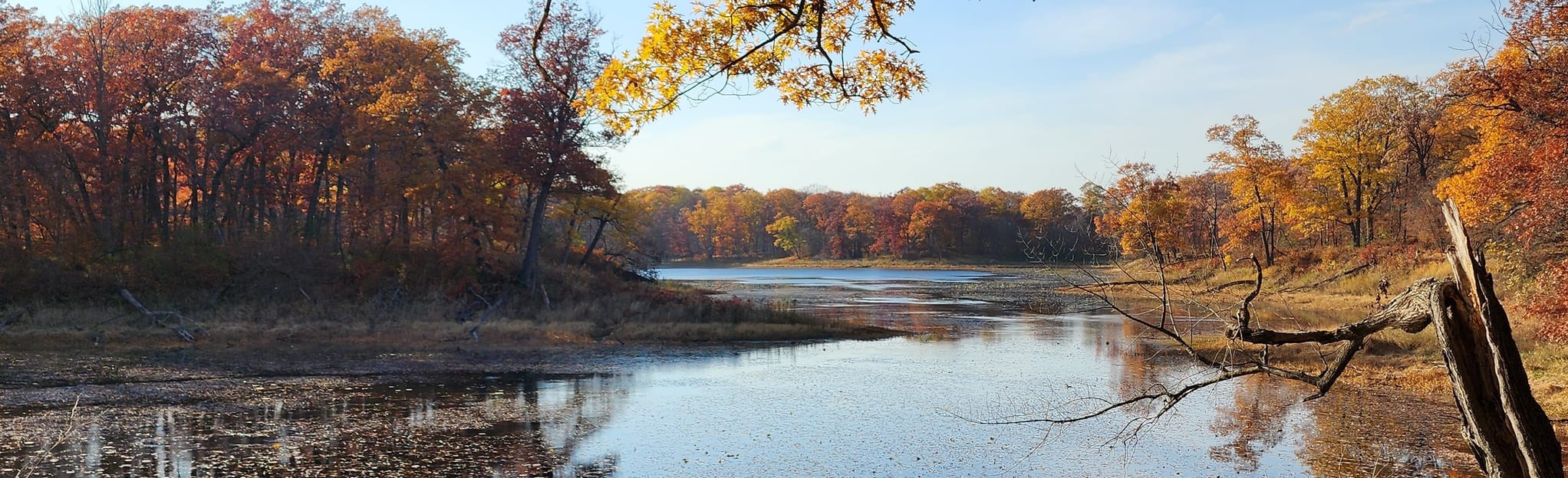 Anderson Hill Loop Trail, Minnesota - 103 Reviews, Map | AllTrails