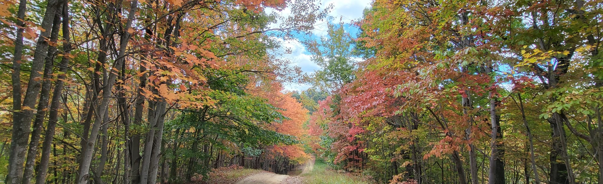 Bear Wallow and Hatfield OHV Trail - West Virginia | AllTrails