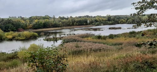 Best Hikes and Trails in Low Barns Nature Reserve | AllTrails