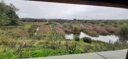 Best Hikes and Trails in Low Barns Nature Reserve | AllTrails