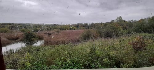 Best Hikes and Trails in Low Barns Nature Reserve | AllTrails