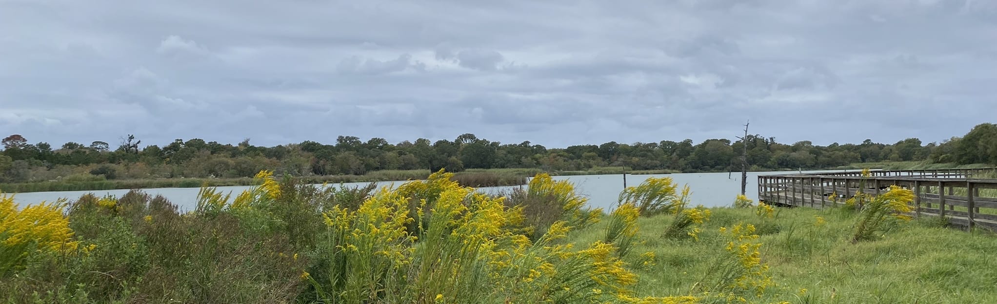 Bay Area Park Loop, Texas - 60 Reviews, Map | AllTrails