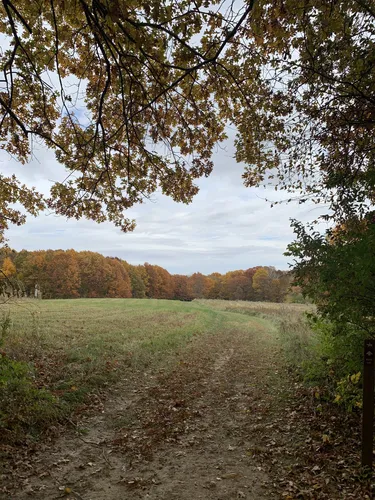 10 Best Trails and Hikes in Decatur | AllTrails