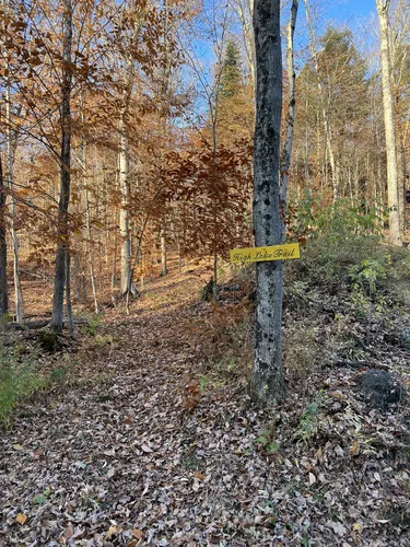 10 Best Hikes and Trails in Limberlost Forest and Wildlife Reserve ...