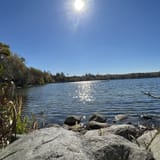 Lake Wilcox Park Loop, Ontario, Canada - 262 Reviews, Map | AllTrails