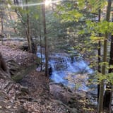 Springfield Falls, Pennsylvania - 124 Reviews, Map | AllTrails