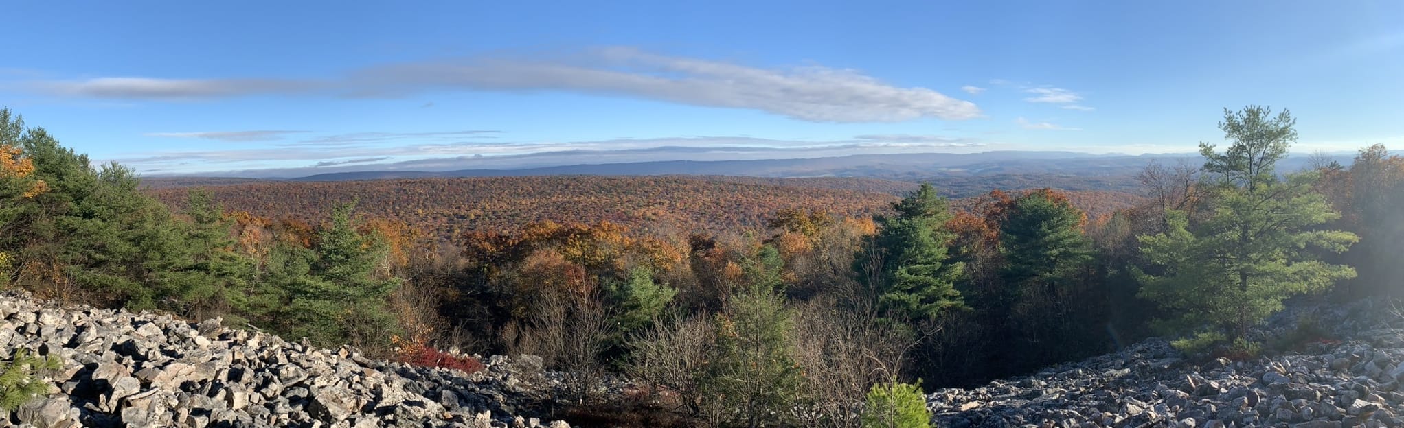 Jackson Trail, Pennsylvania - 150 Reviews, Map | AllTrails