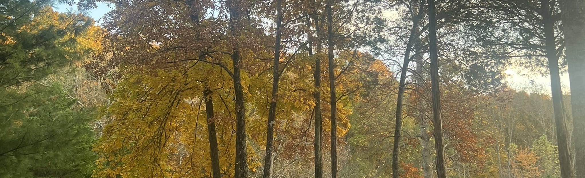 University of Tennessee Arboretum Loop: 561 Reviews, Map - Tennessee ...