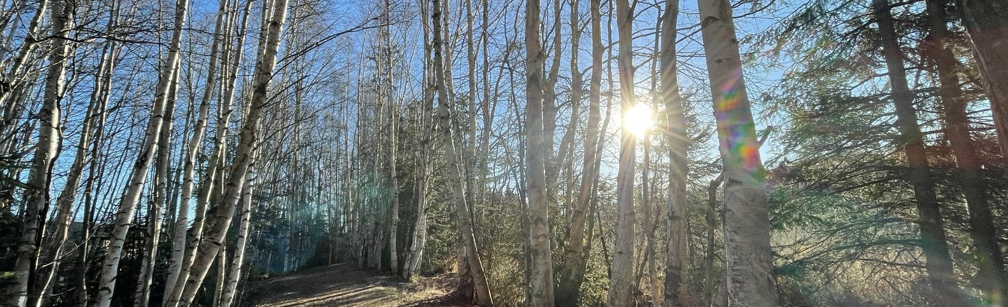 Baxter Loop: 88 Reviews, Map - Alaska | AllTrails