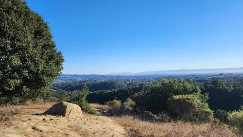 10 Best Hikes and Trails in Lake Chabot Regional Park | AllTrails