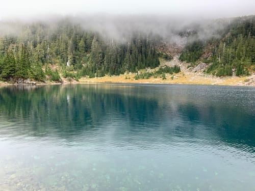 Best Hikes and Trails in Kennedy River Woodlands | AllTrails