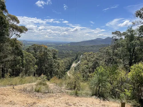 10 Best Hikes and Trails in Watagans National Park | AllTrails