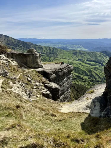 2023 Best Wild Flowers Trails in Raupunga | AllTrails