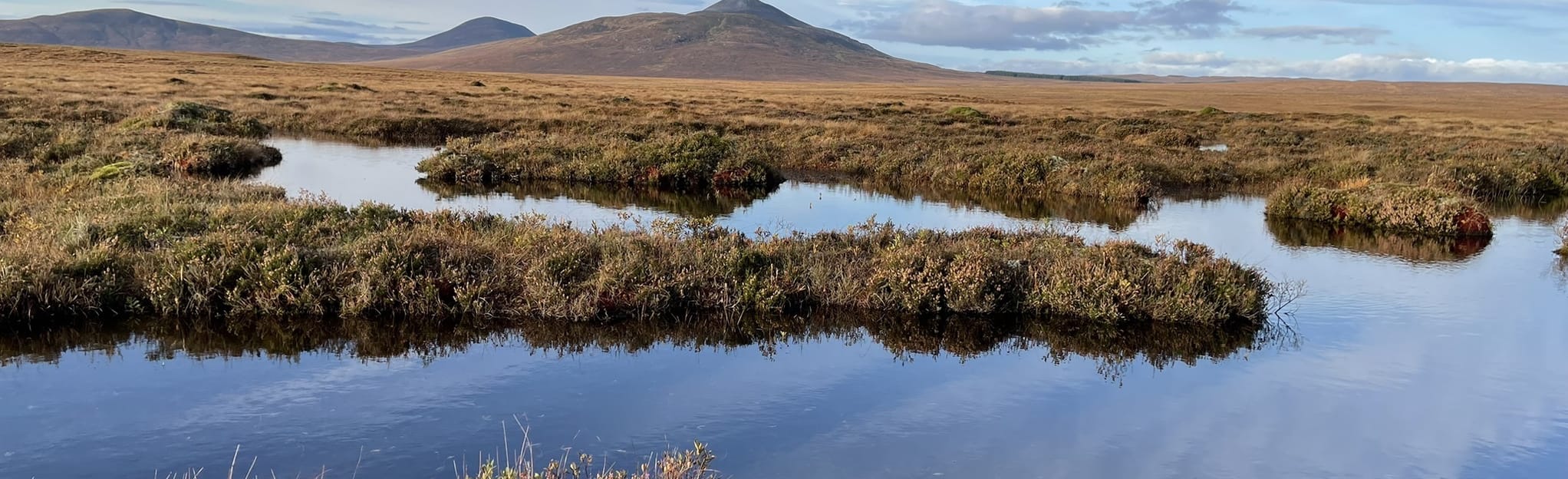 Forsinard Flows and Tower: 74 fotos - Highlands, Scotland | AllTrails