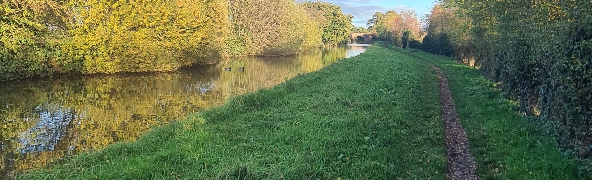 Rode Heath, Salt Line and Canal Circular | Mappa, Guida - Cheshire ...